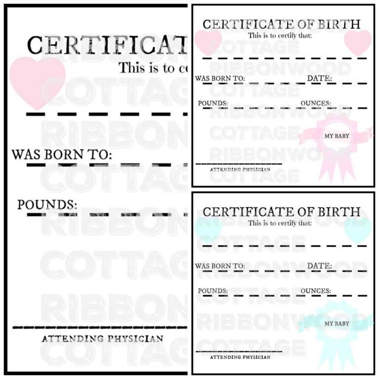 Reborn Birth Certificates (Your Custom Nursery Name) 5 Certificates ...